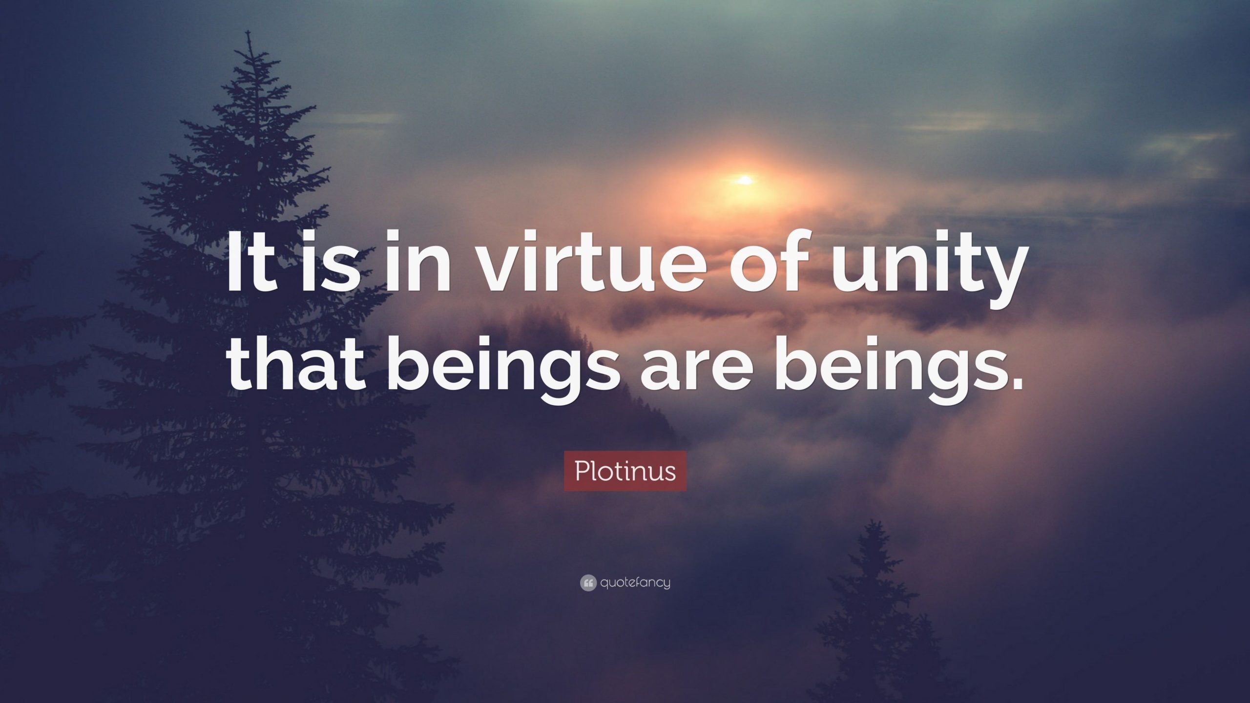 V For Virtue of Unity!! - Tina Ki Duniya